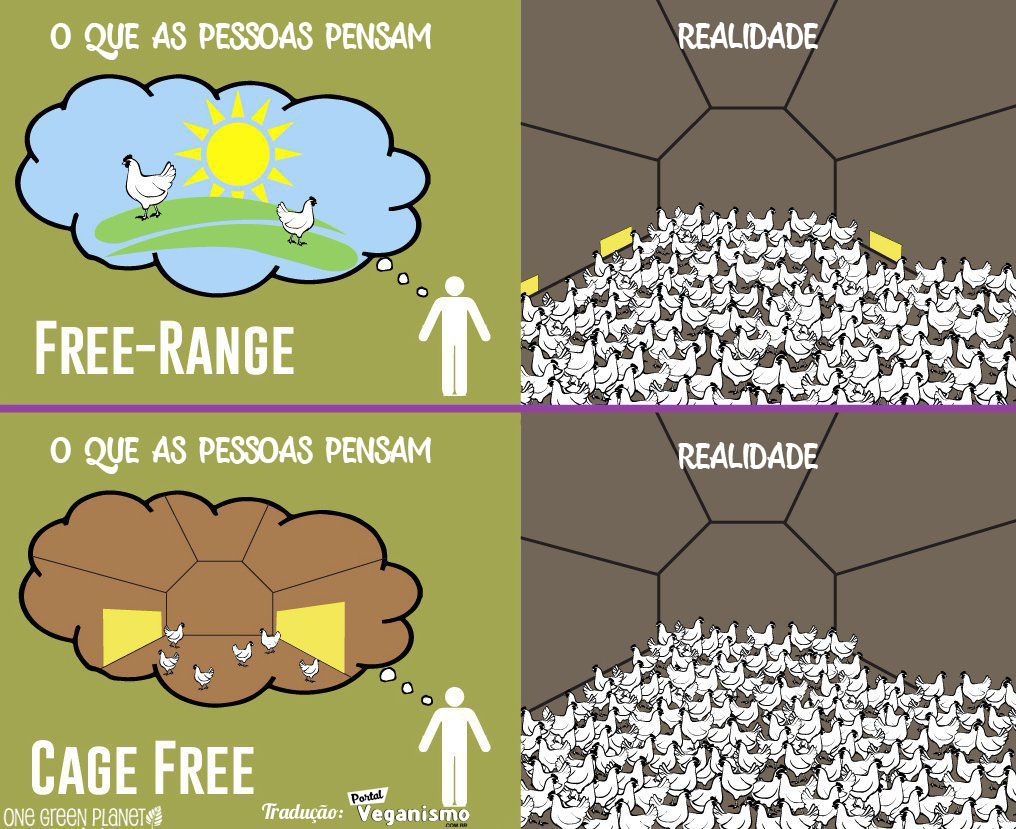 Você conhece o sistema Cage-"Free" e "Free"-Range? Tem certeza?